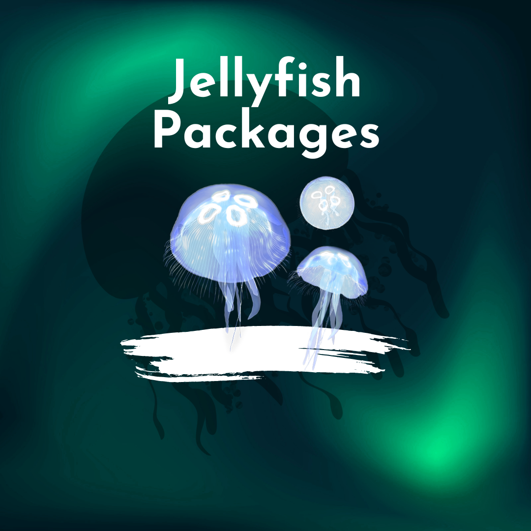 Jellyfish Packages – Jellyfish Art
