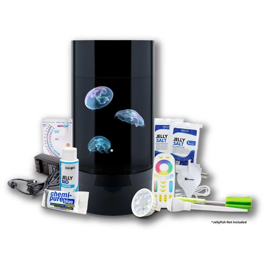 Jellyfish Aquarium Kits – Jellyfish Art