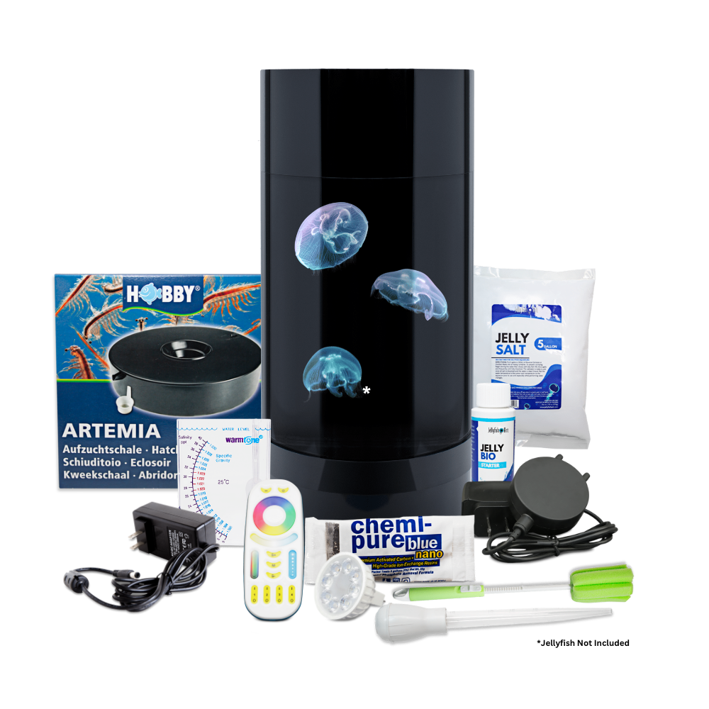 Jellyfish Aquarium Kits – Jellyfish Art