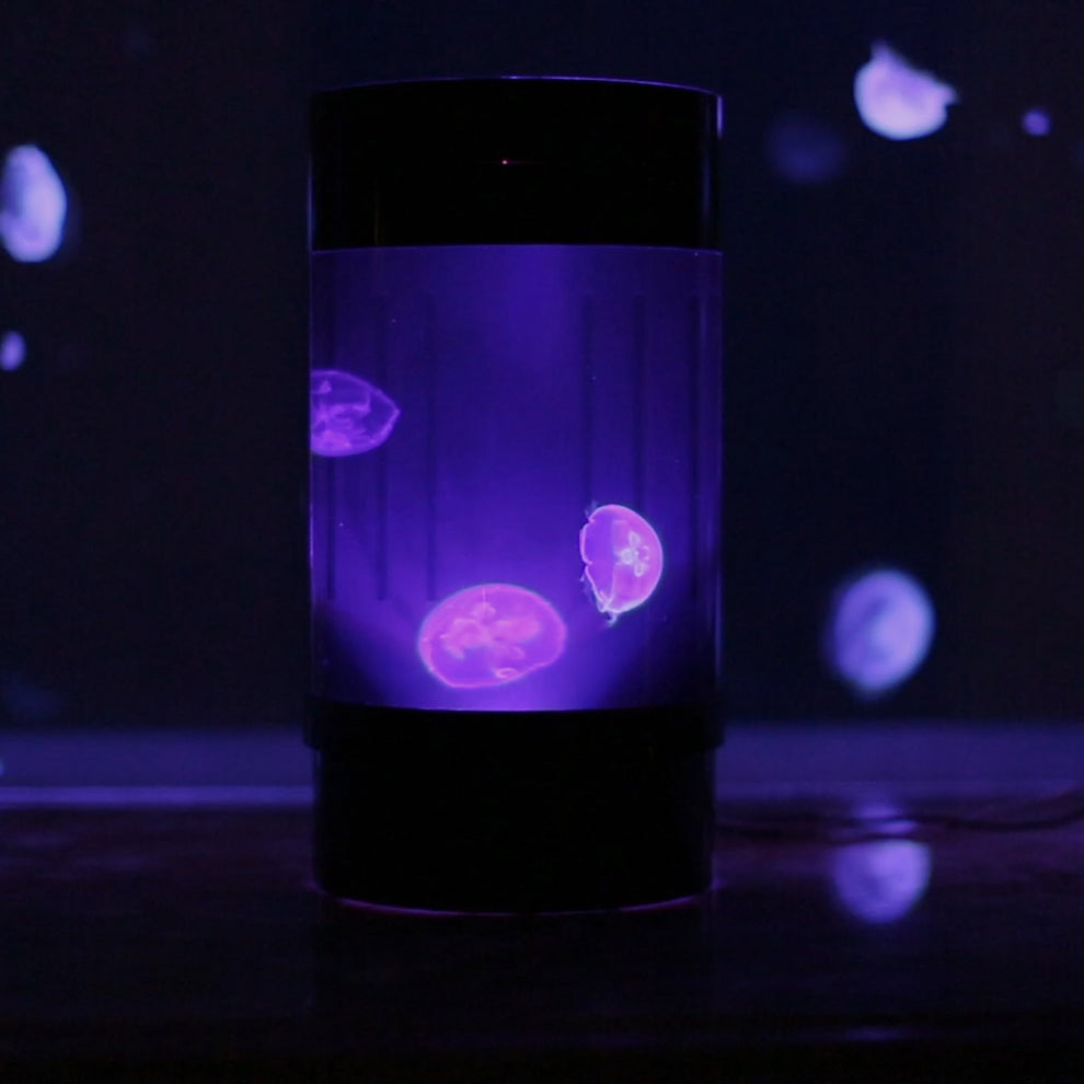 Pet Jellyfish & Premium Jellyfish Aquariums | Jellyfish Art