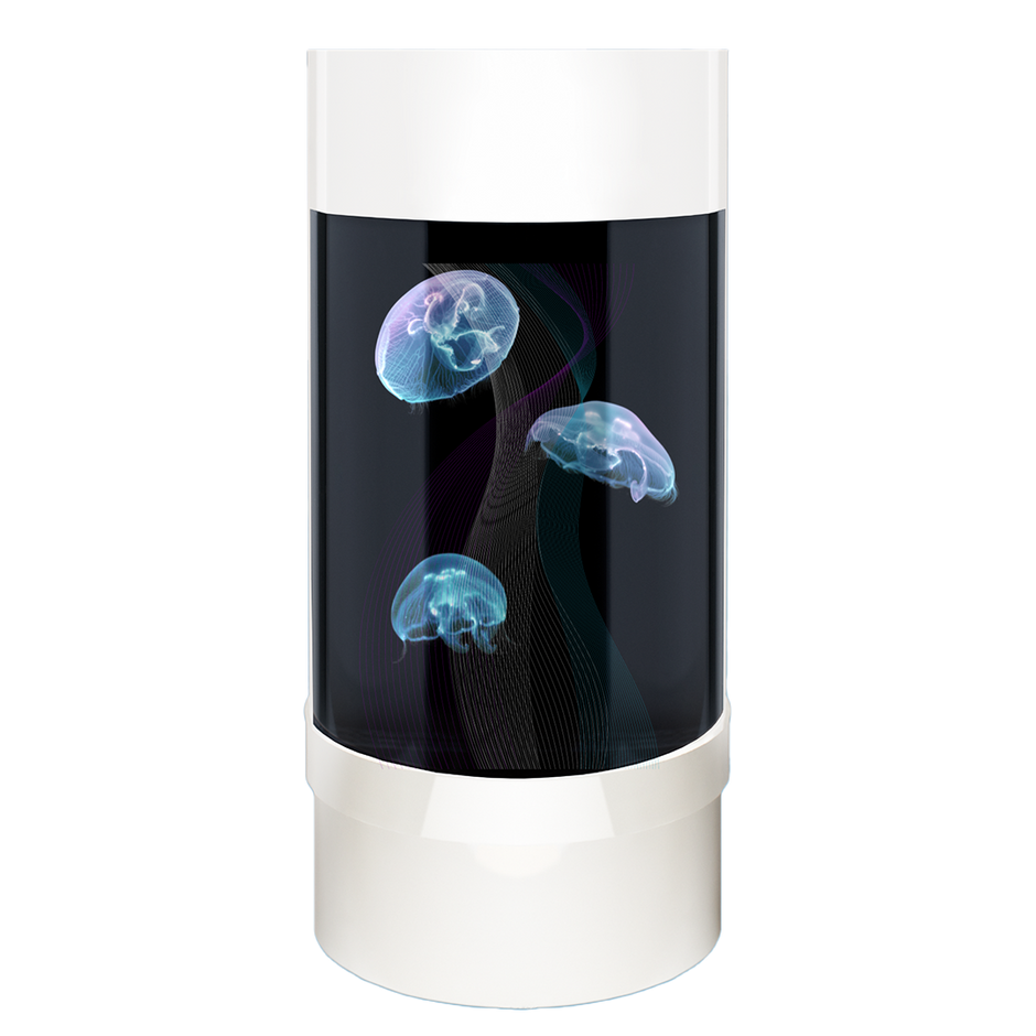 All Aquariums for Live Pet Jellyfish | Jellyfish Art