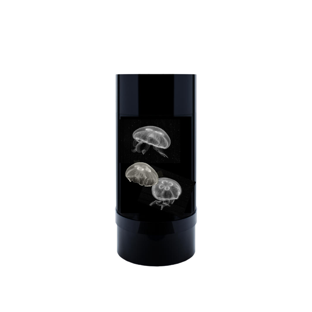 All Aquariums for Live Pet Jellyfish | Jellyfish Art
