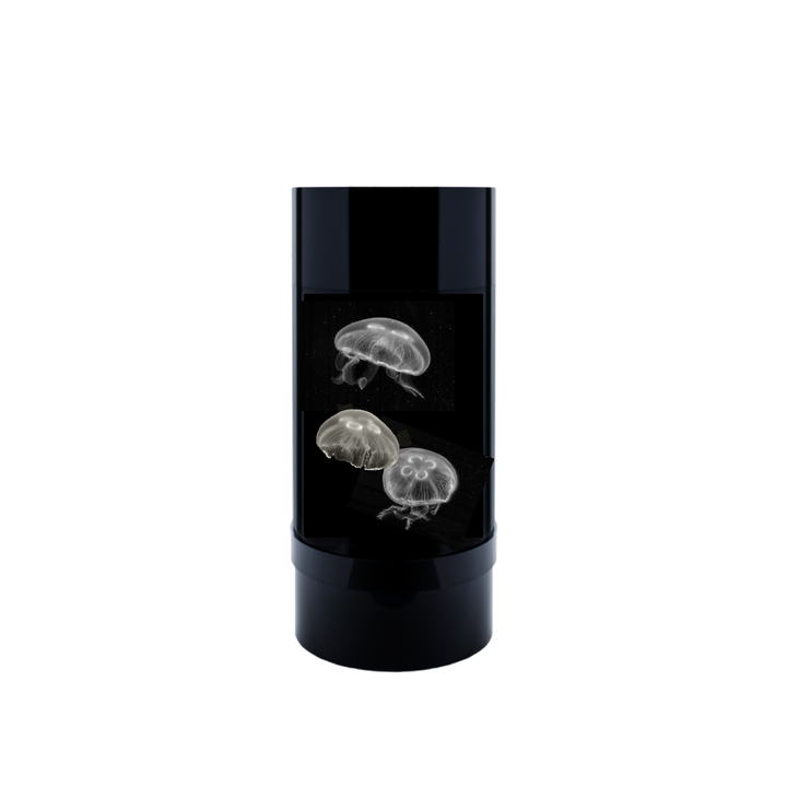 All Aquariums for Live Pet Jellyfish | Jellyfish Art