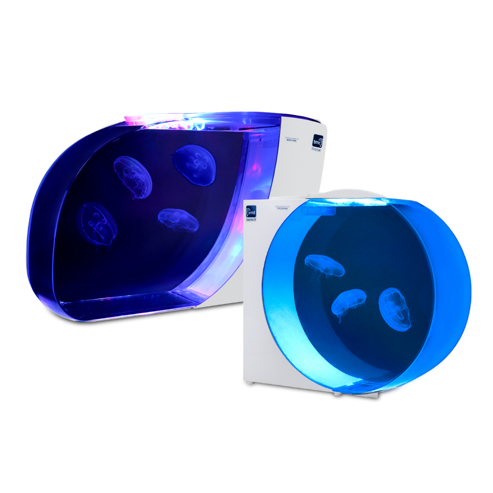 All Aquariums for Live Pet Jellyfish | Jellyfish Art