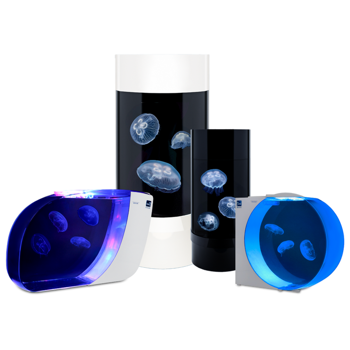 All Aquariums for Live Pet Jellyfish | Jellyfish Art