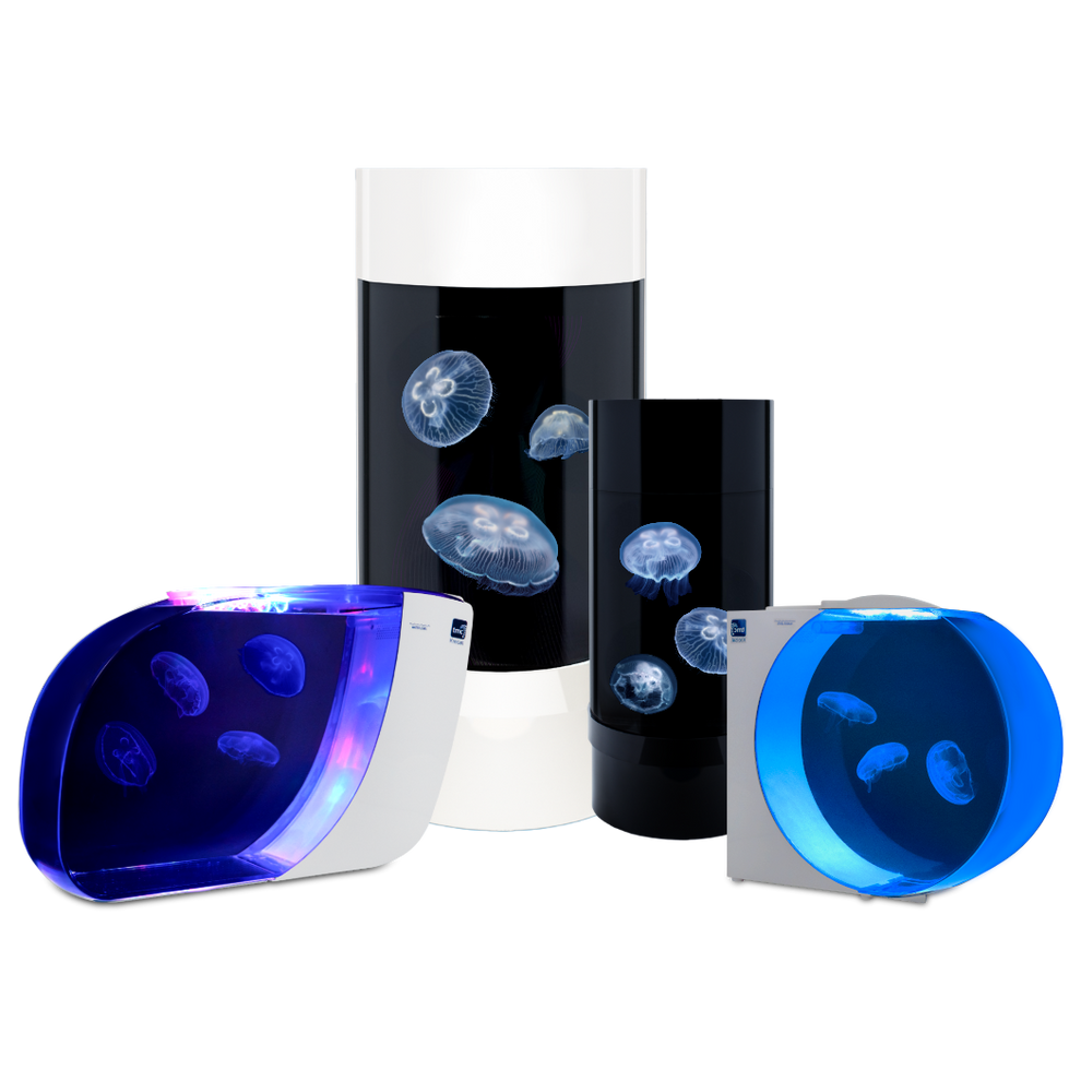 All Aquariums for Live Pet Jellyfish | Jellyfish Art