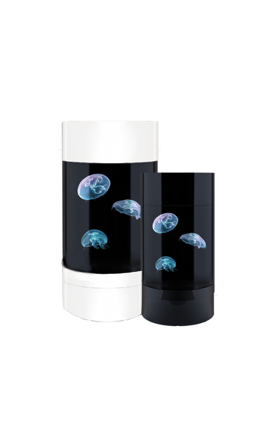 Kreisel - Jelly Art Aquariums for Live Pet Jellyfish | Jellyfish Art
