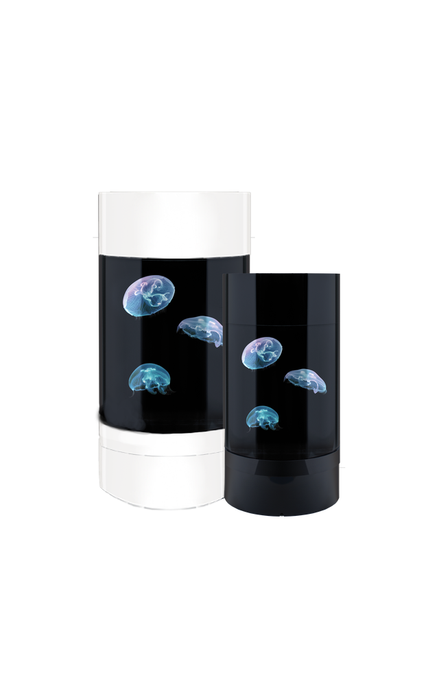 Cylinder - Jelly Art Aquariums for Live Pet Jellyfish | Jellyfish Art