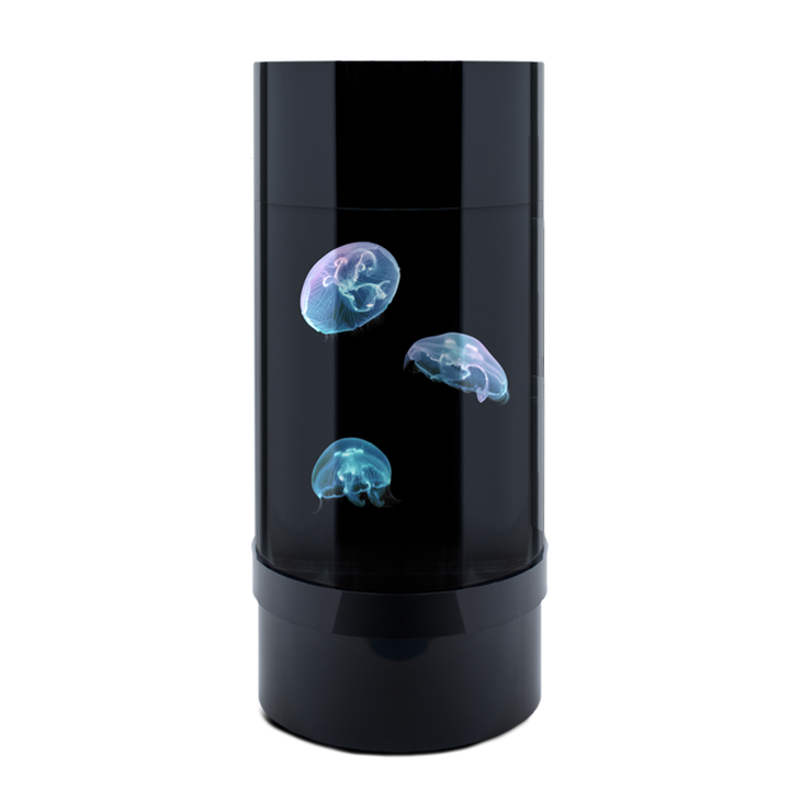 All Aquariums for Live Pet Jellyfish | Jellyfish Art