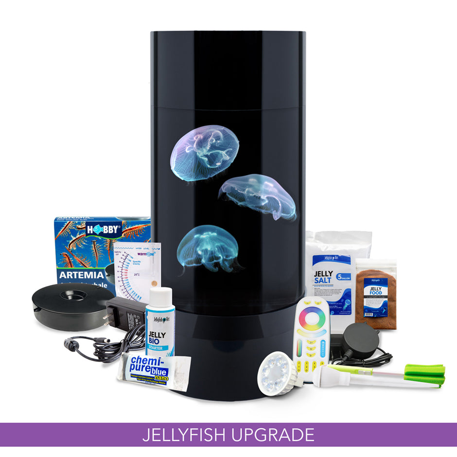 Cylinder - Jelly Art Aquariums for Live Pet Jellyfish | Jellyfish Art