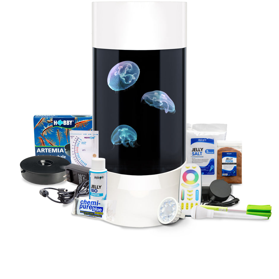Cylinder - Jelly Art Aquariums for Live Pet Jellyfish | Jellyfish Art