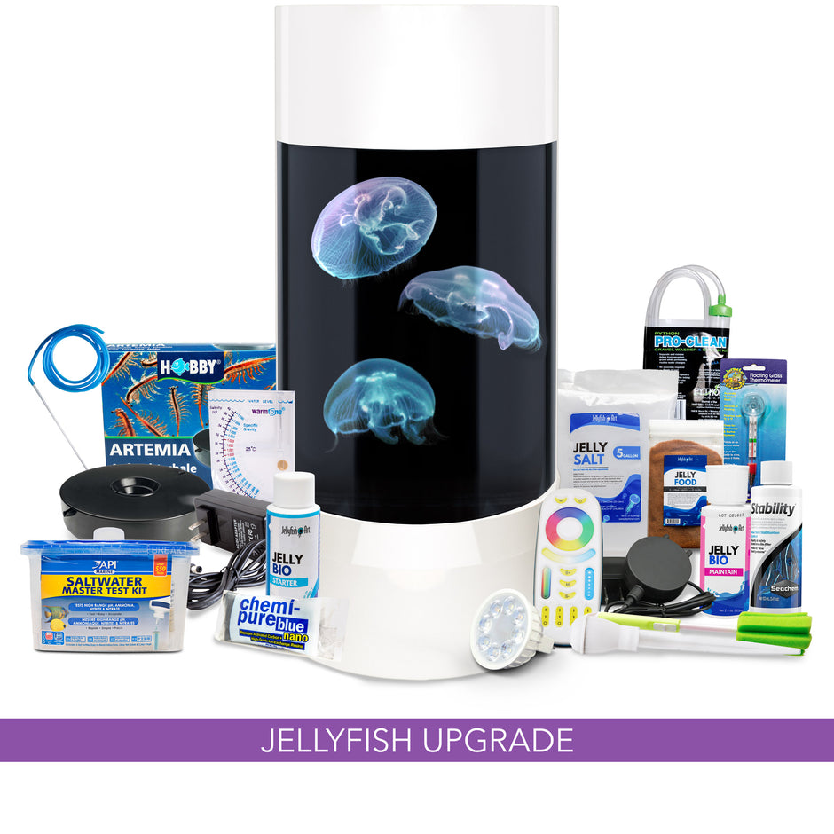 Jellyfish Aquarium Kits – Jellyfish Art