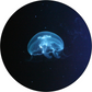 Small Moon Jellyfish – Jellyfish Art